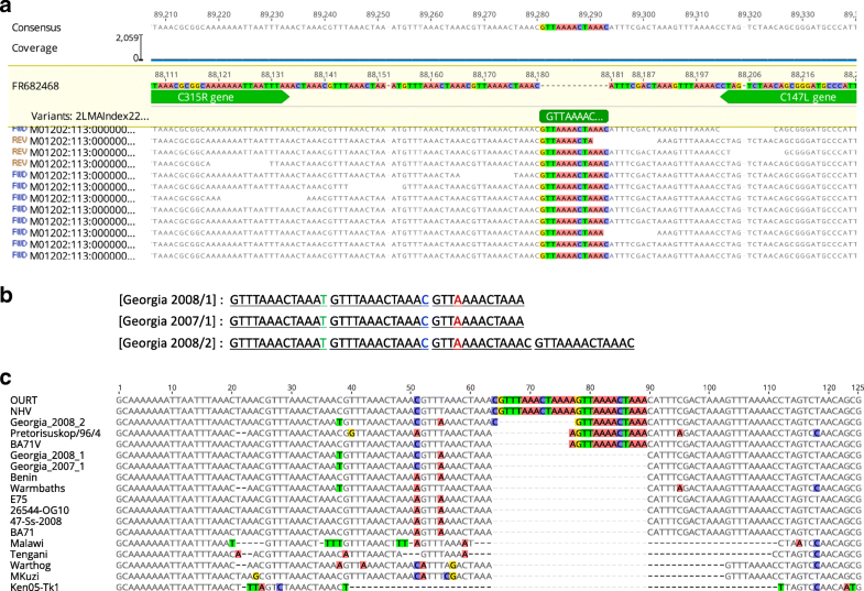 Intra-epidemic genome variation in highly pathogenic African swine ...