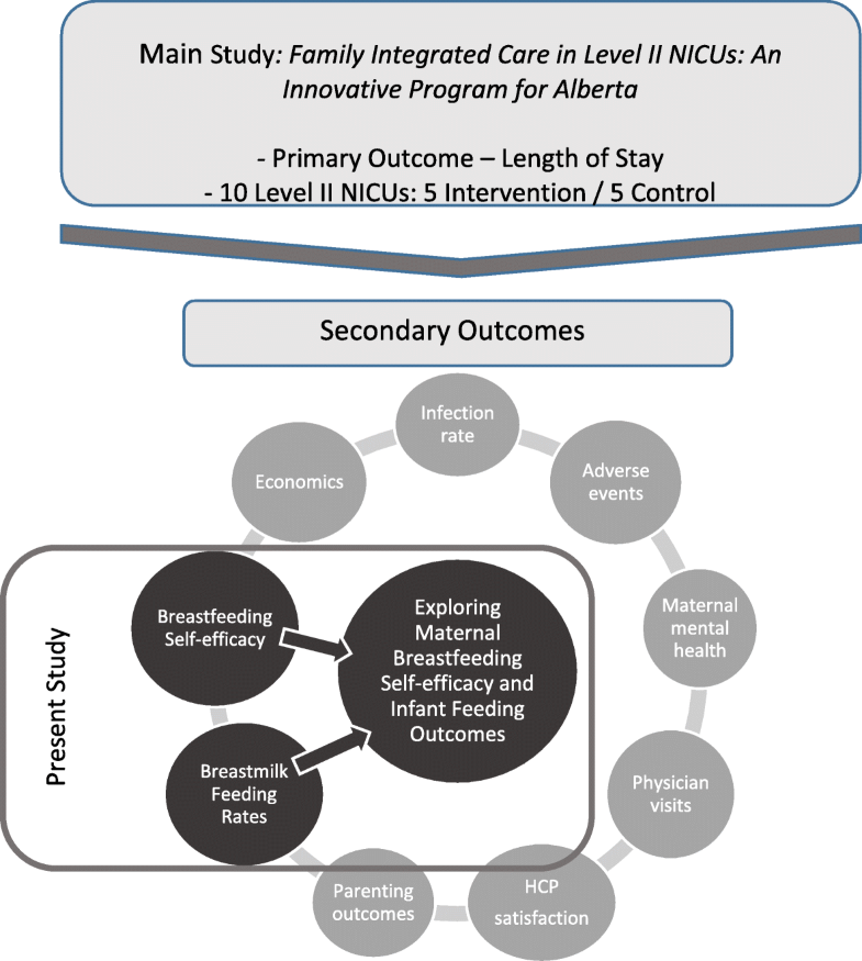 Breastfeeding self-efficacy and breastmilk feeding for moderate and ...