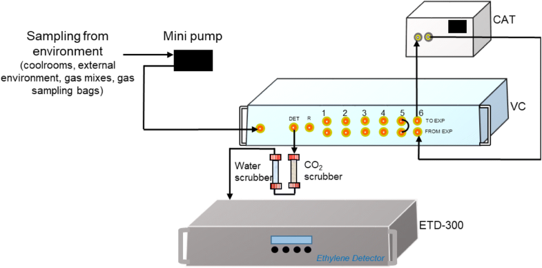 Measuring ethylene in postharvest biology research using the laser ...