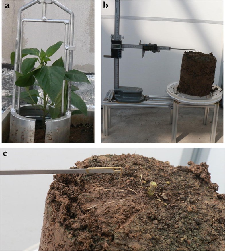Adaptive minirhizotron for pepper roots observation and its ...