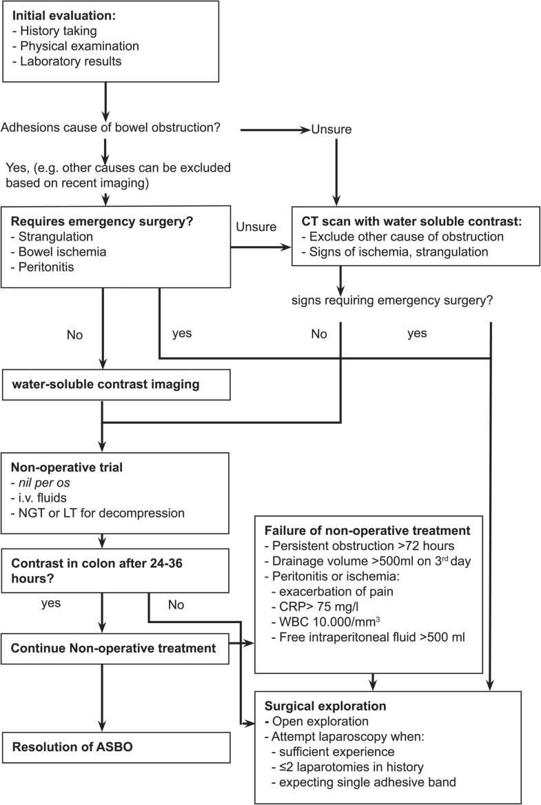 Bologna guidelines for diagnosis and management of adhesive small bowel ...