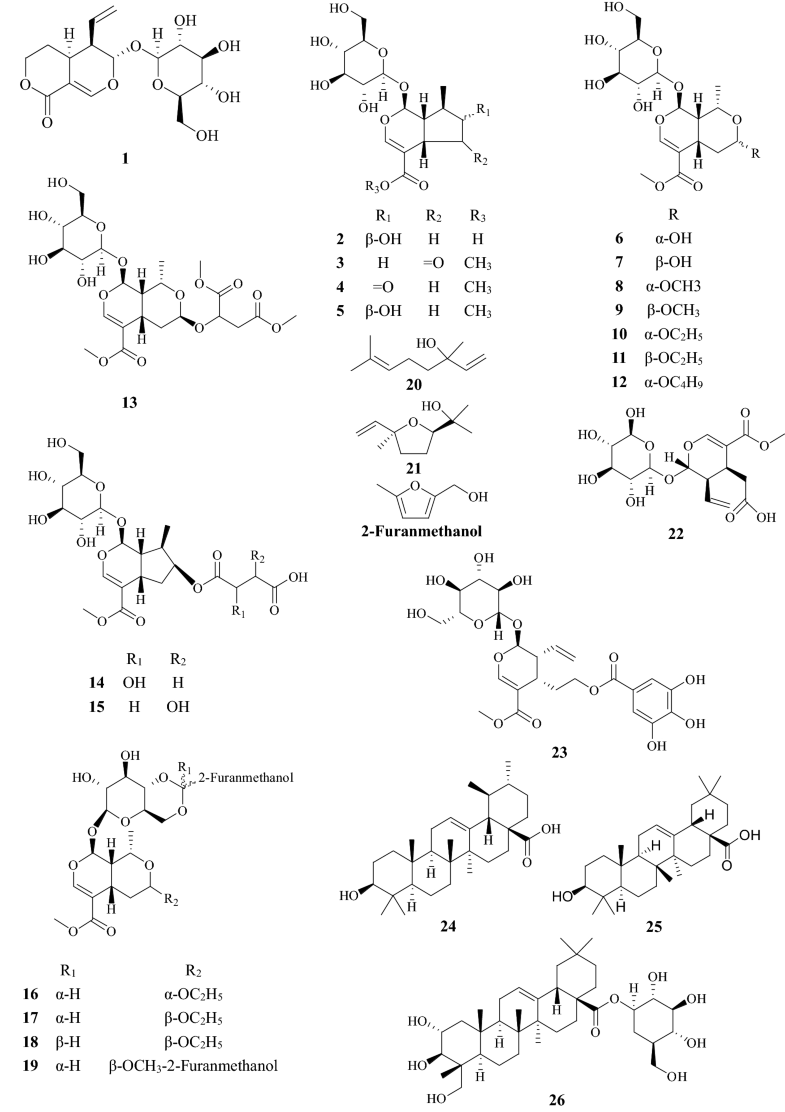 Corni Fructus: a review of chemical constituents and pharmacological ...