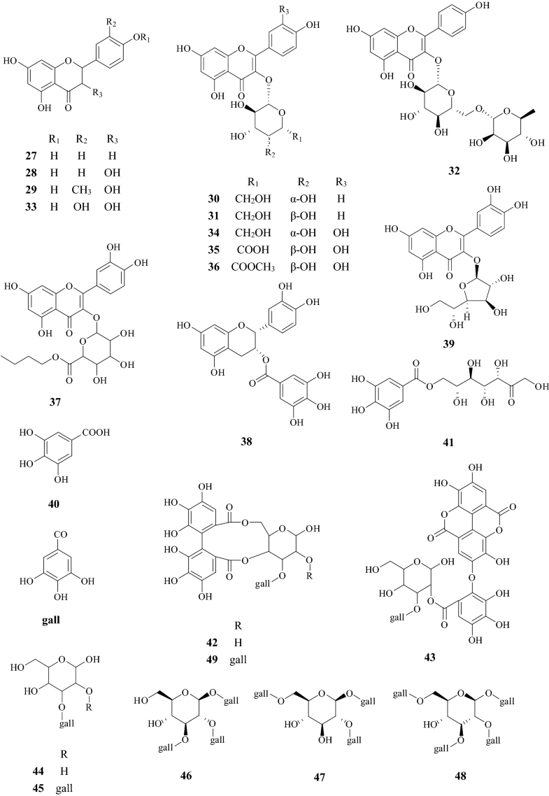 Corni Fructus: a review of chemical constituents and pharmacological ...