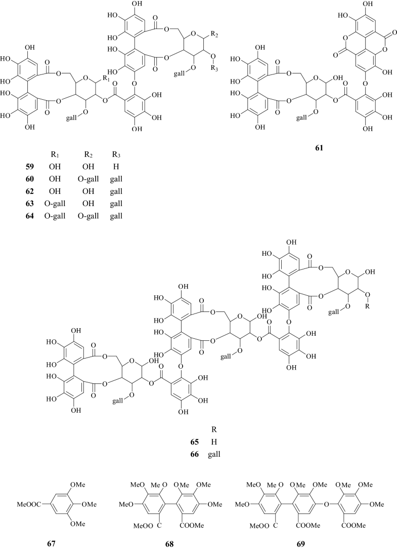 Corni Fructus: a review of chemical constituents and pharmacological activities | Chinese ...