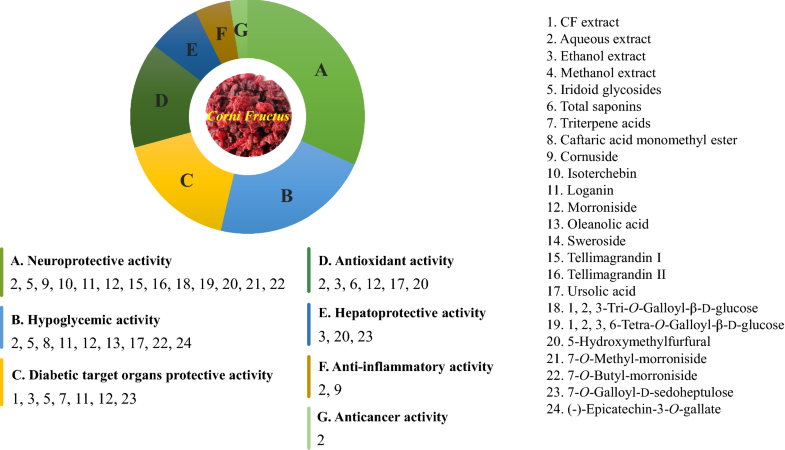 Corni Fructus: a review of chemical constituents and pharmacological ...