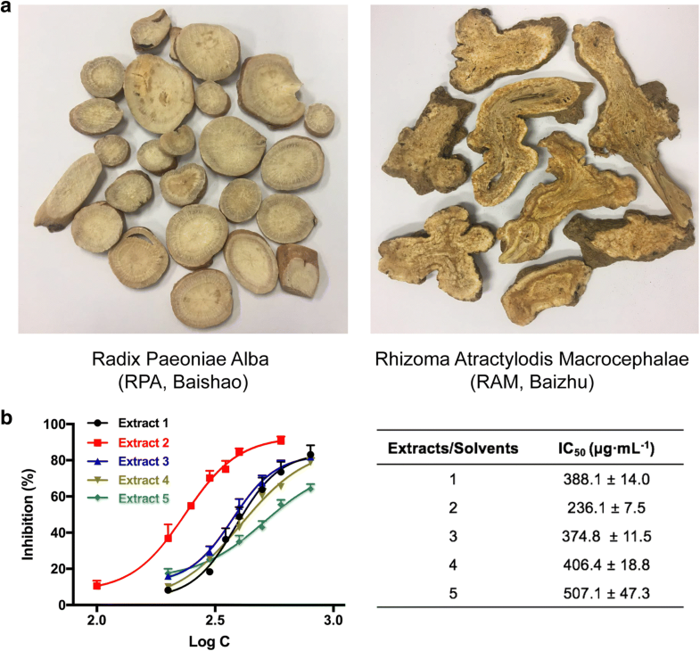 Chinese herb pair Paeoniae Radix Alba and Atractylodis Macrocephalae Rhizoma suppresses LPS ...