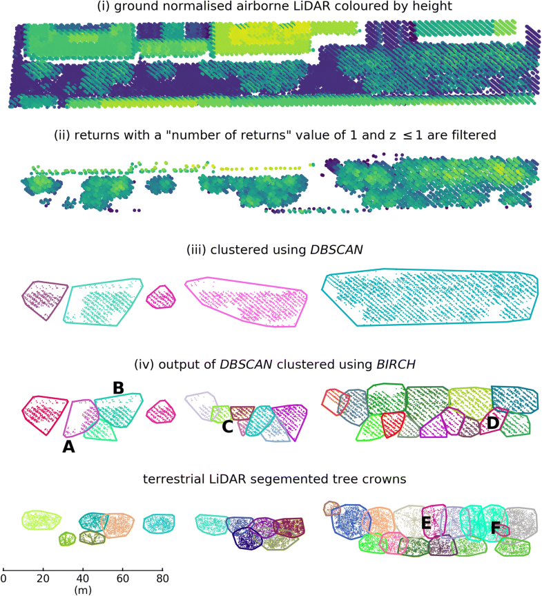 Estimating urban above ground biomass with multi-scale LiDAR | Carbon ...