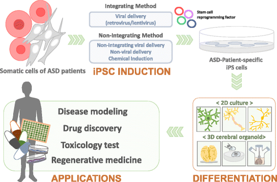 Understanding the molecular basis of autism in a dish using hiPSCs ...