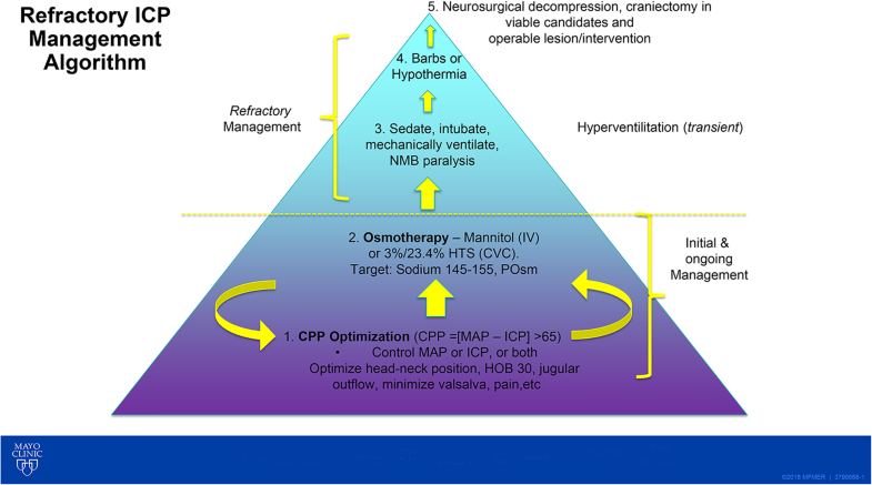 How I manage ICP-CPP: a visual, yet individualized approach | SpringerLink
