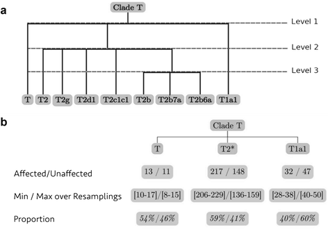 An original phylogenetic approach identified mitochondrial haplogroup ...