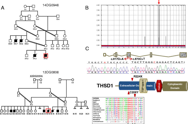 Identification of embryonic lethal genes in humans by autozygosity ...