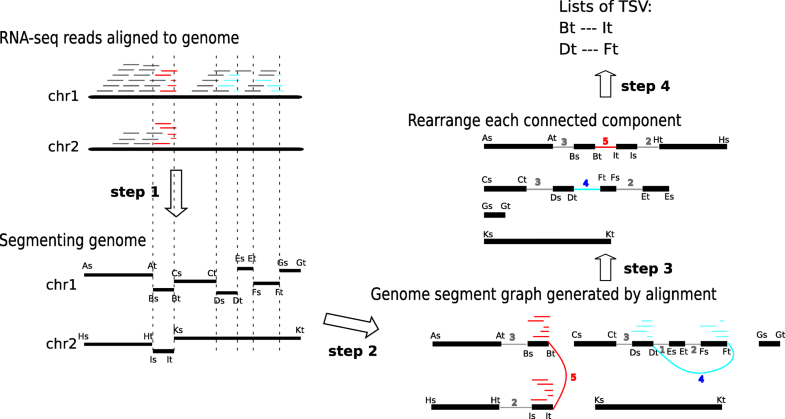 SQUID: transcriptomic structural variation detection from RNA-seq | Genome Biology | Full Text