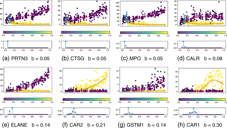 BGP: identifying gene-specific branching dynamics from single-cell data with a branching ...