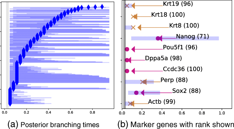BGP: identifying gene-specific branching dynamics from single-cell data with a branching ...