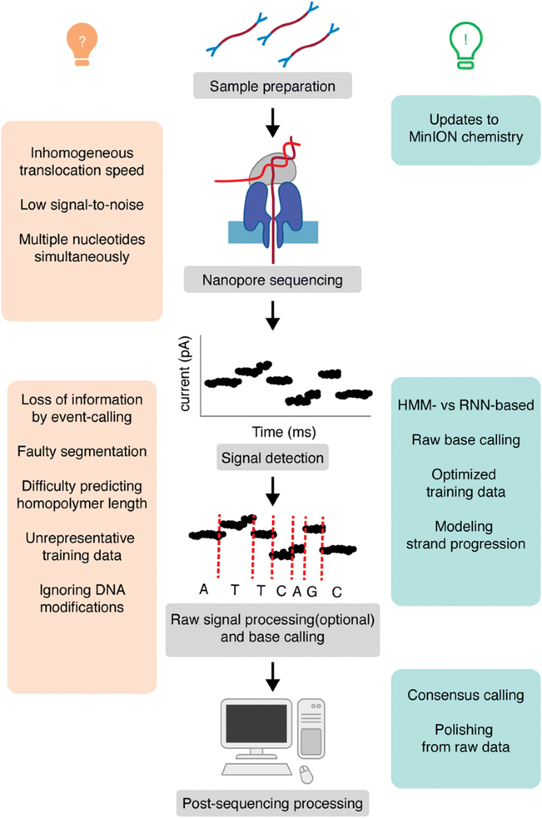 From squiggle to basepair: computational approaches for improving ...