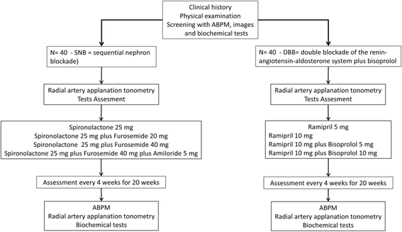 Resistant Hypertension On Treatment (ResHypOT): sequential nephron ...