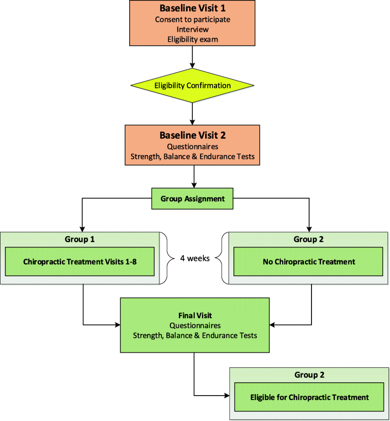 Assessment of chiropractic care on strength, balance, and endurance in ...
