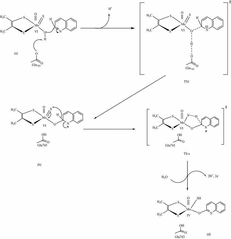 Modeling the transition state structure to probe a reaction mechanism ...