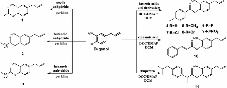 Eugenol derivatives: synthesis, characterization, and evaluation of ...