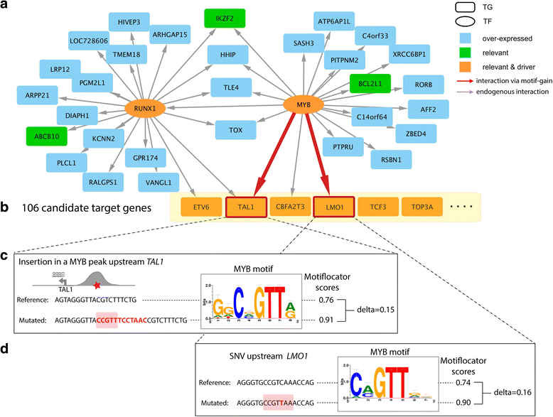 Identification Of Cis Regulatory Mutations Generating De Novo Edges In