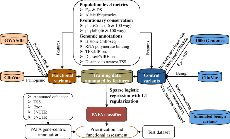 Prioritization and functional assessment of noncoding variants associated with complex diseases ...