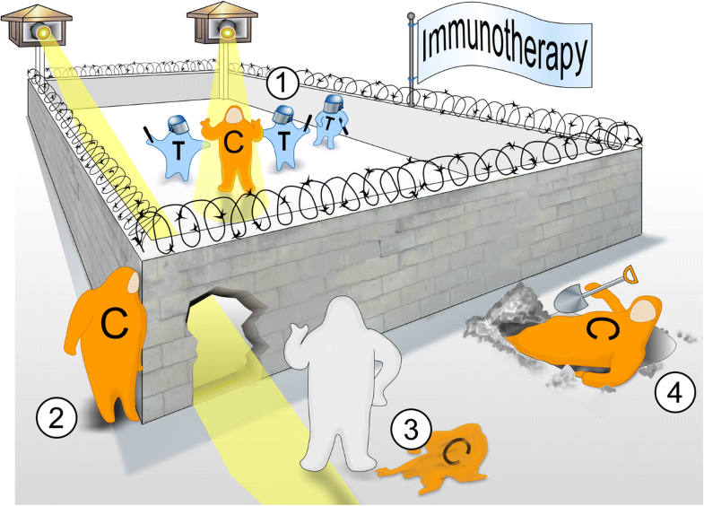 Acquired mechanisms of immune escape in cancer following immunotherapy ...