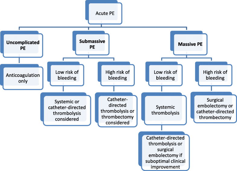 Pathophysiology of right ventricular failure in acute pulmonary ...