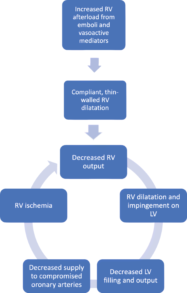 Pathophysiology of right ventricular failure in acute pulmonary ...