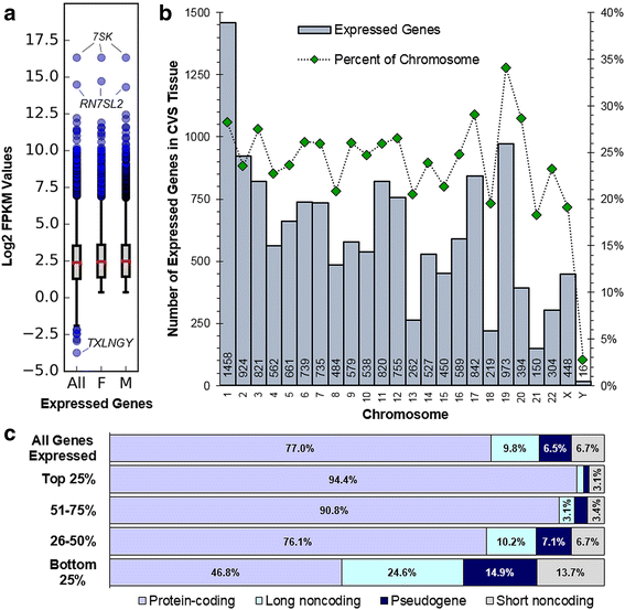 Sex Differences In The Late First Trimester Human Placenta