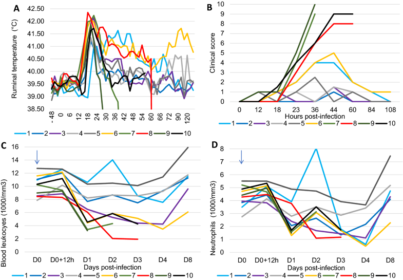 Host factors determine the evolution of infection with Staphylococcus ...