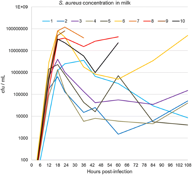 Host factors determine the evolution of infection with Staphylococcus ...