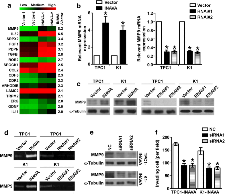 INAVA promotes aggressiveness of papillary thyroid cancer by ...