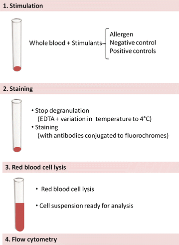 Basophil activation test: food challenge in a test tube or specialist ...