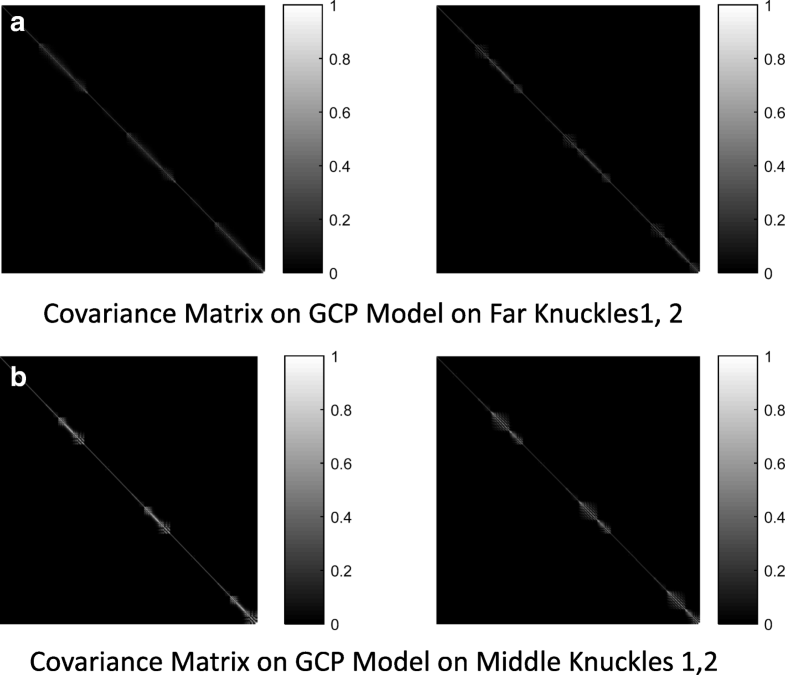Image offset density distribution model and recognition of hand knuckle ...