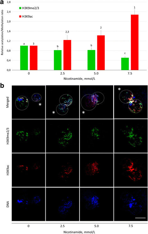 SIRT1-dependent modulation of methylation and acetylation of histone H3 ...