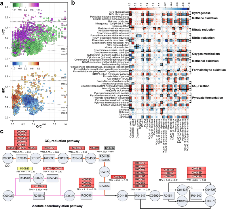 The chemodiversity of paddy soil dissolved organic matter correlates ...