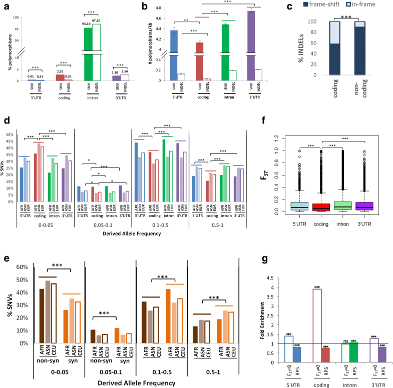 Architecture of polymorphisms in the human genome reveals functionally ...