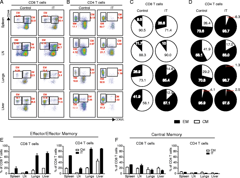 Differential phenotypes of memory CD4 and CD8 T cells in the spleen and ...