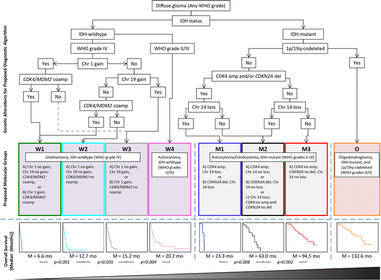 Multidimensional scaling of diffuse gliomas: application to the 2016 World Health Organization ...