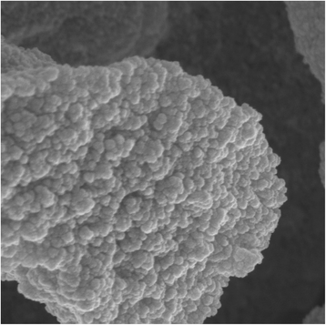 Advances in monolithic silica columns for high-performance liquid ...