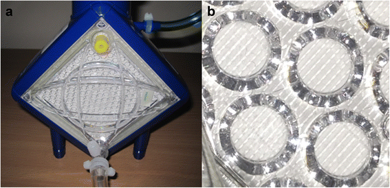 Quantification of perflutren microsphere contrast destruction during ...