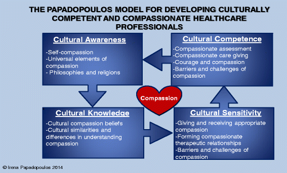 Developing tools to promote culturally competent compassion, courage ...