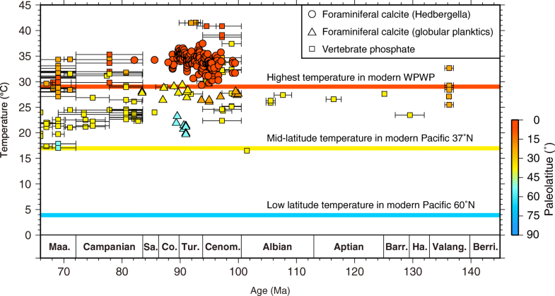 Perspective on the response of marine calcifiers to global warming and ...