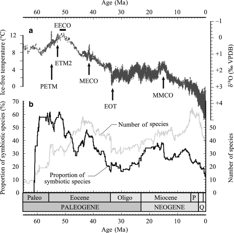 Perspective on the response of marine calcifiers to global warming and ...