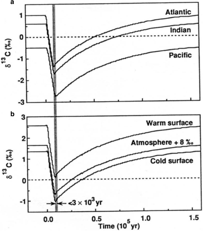 Perspective on the response of marine calcifiers to global warming and ...