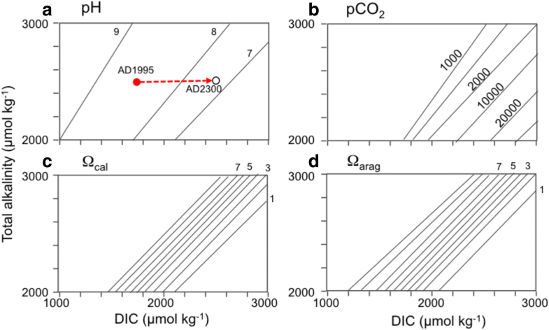Perspective on the response of marine calcifiers to global warming and ...