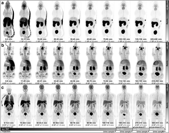 Radiation dosimetry of the α4β2 nicotinic receptor ligand (+)-[18F ...
