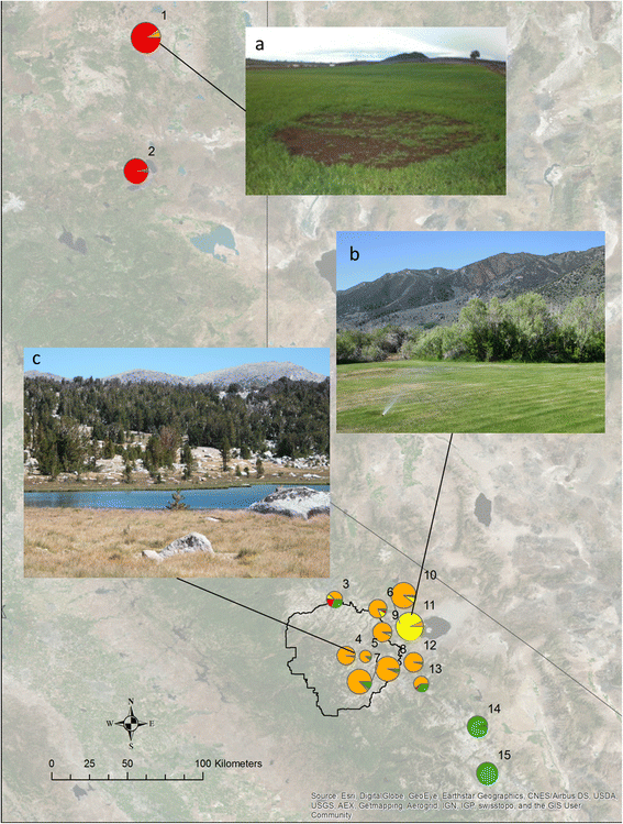 Climate change refugia and habitat connectivity promote species persistence | Climate Change ...