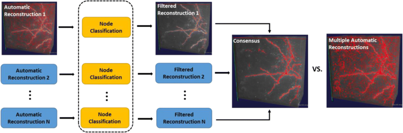 DeepNeuron: an open deep learning toolbox for neuron tracing | SpringerLink