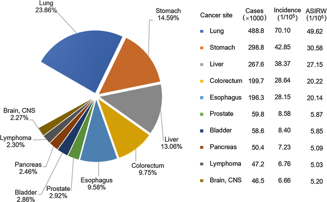 Estimates of cancer incidence and mortality in China, 2013 | SpringerLink